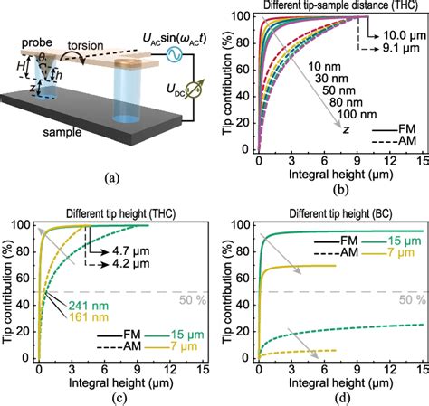 Figure 2 From Torsional Harmonic Kelvin Probe Force Microscopy For High