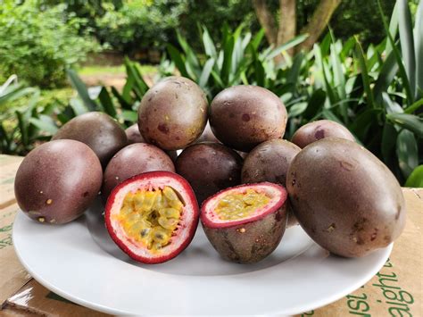50 Box Of Passionfruit Groweroutlet Reviews On Judgeme