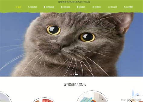 Vue Springboot宠物美容机构crm客户服务评价系统 Csdn博客