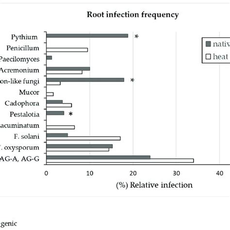 Fungal Root Endophytes In Strawberry Plants Grown On Original And