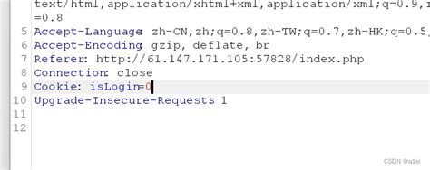 【刷题记录】攻防世界web php wrong nginx config csdn博客