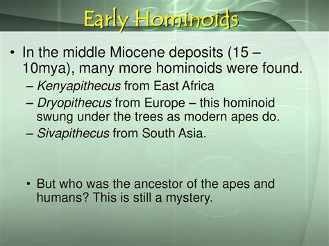 Evolution Of Hominoids Ppt Download Evolution Of Hominoids Ppt Download