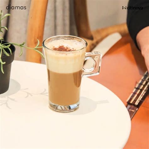 Jual Citinova Gaiyo 250ml Gelas Cafe Gelas Kopi Gelas Gagang Gelas