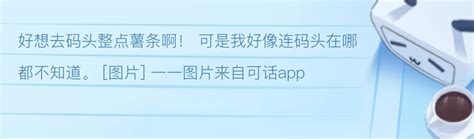 想去码头整点薯条 哔哩哔哩
