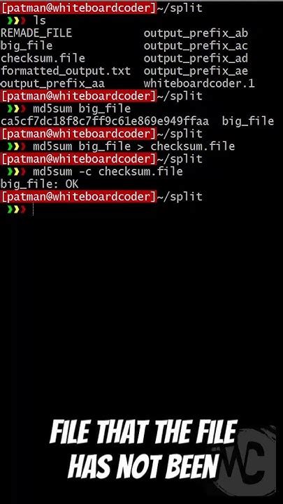 Linux Md5sum Coding Linux Linuxtutorials Linuxcommandlinetutorial Ubuntu Sysadmin Youtube