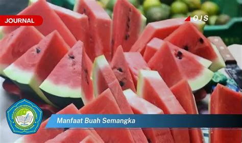Temukan 7 Manfaat Buah Semangka Yang Bikin Kamu Penasaran