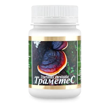 Биологически активная добавка Траметес разноцветный в капсулах купить с доставкой по выгодным