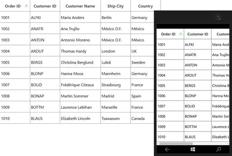 Styles And Templates In Wpf Datagrid Control Syncfusion