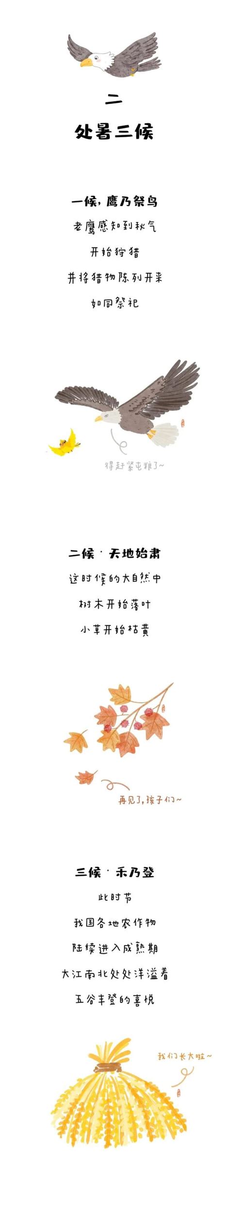 今日处暑丨暑去又一秋珍待此时心 澎湃号政务 澎湃新闻 The Paper