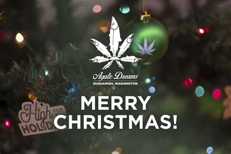 Merry Christmas Dreamers Agate Dreams