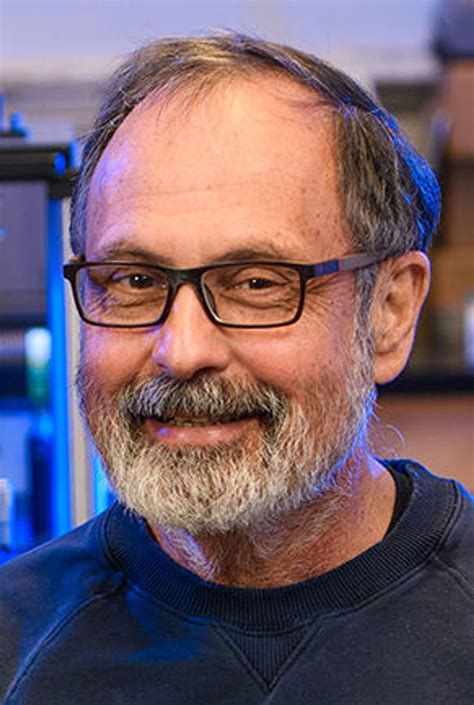 Faculty Members Assail The Wsu Brass