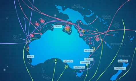 New Australian Interactive Marine Migration Map Launched