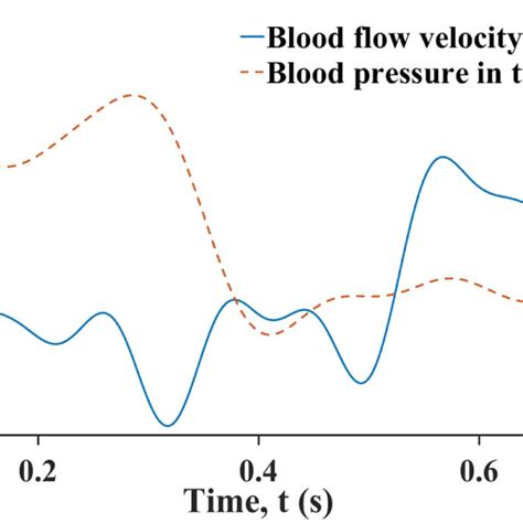 Physiological Waveforms For Velocity At The Inlet And Pressure At The