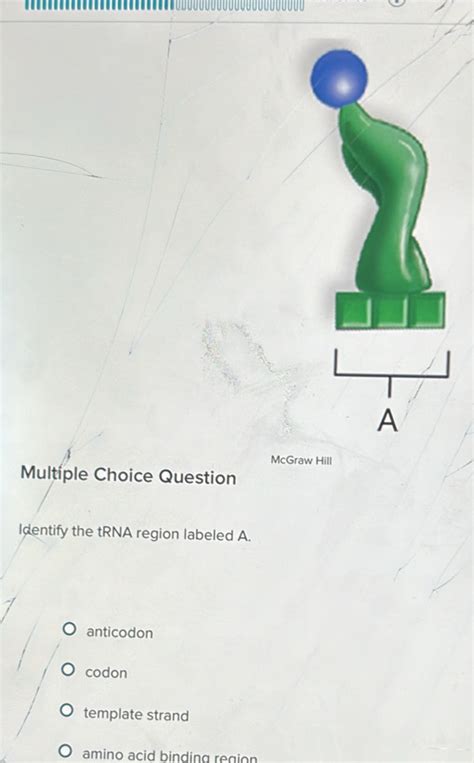 Solved A Mcgraw Hill Multiple Choice Question Identify The Trna Region