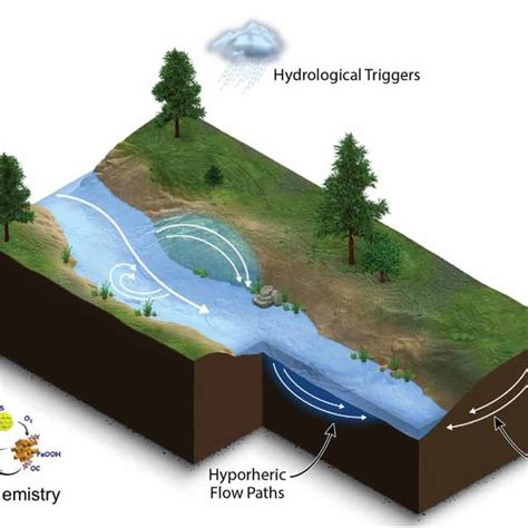 Schematic Depiction Of Processes Within A Subsurface Microbiology B