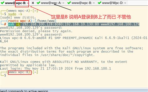 Ssh的三种转发模式本地远程动态 极光云