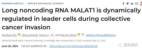 Pnas 生物传感器预测肿瘤侵袭性及侵袭方式 知乎