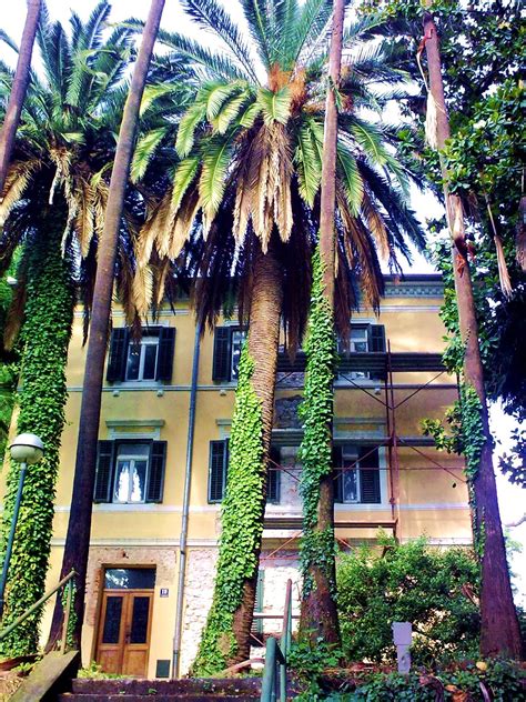 Историја српског поморства Кућа Николе Пашића у Херцег Новом налази се одмах уз градске зидине