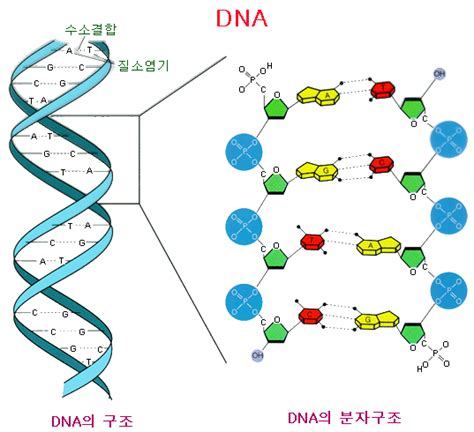 슈퍼박테리아는 전지구적 위협