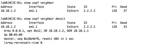What Is Your Ospf Neighbor Doing Adjacency Problems In Ospf Inetzero