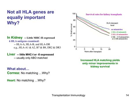 Transplantation Immunology For 2016 Mph Ppt
