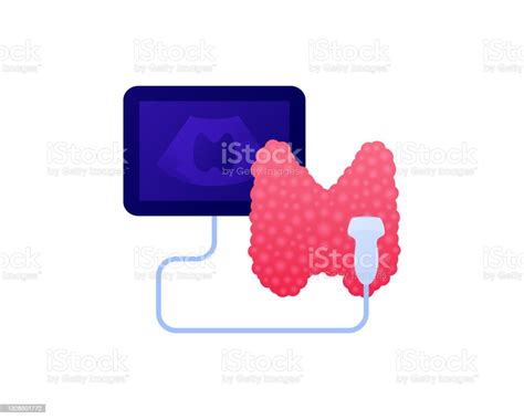 의료 초음파 절차 개념 벡터 플랫 헬스케어 일러스트레이션 내분비학 및 갑상선 진단 색상 아이콘 기호 초음파 장치 기호 건강