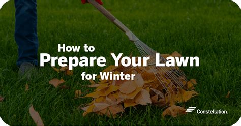 7 Steps To Prepare Your Lawn For Winter Constellation