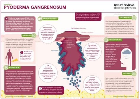 Pyoderma Gangrenosum Pathophysiology Epidemiology Pdf Inflammatory