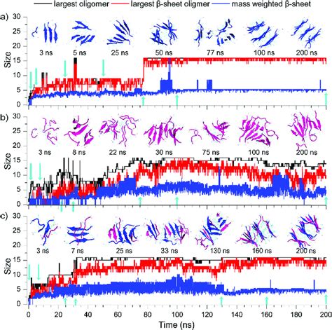 The Dynamics Of Oligomerization And Fibrillization The Largest Download Scientific Diagram