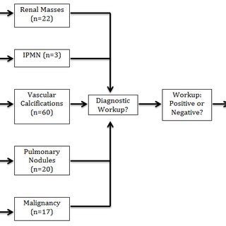 Flowchart Detailing The Methodology For Patient And Characteristic
