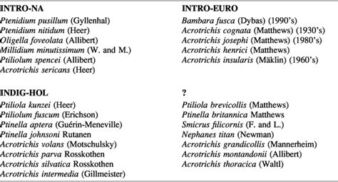 New Records Of Featherwing Beetles Coleoptera Ptiliidae In North America
