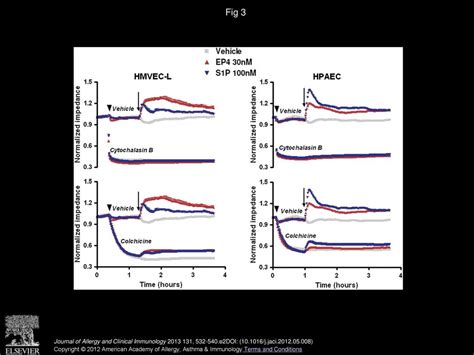 Endothelial E Type Prostanoid Receptors Promote Barrier Function And Inhibit Neutrophil