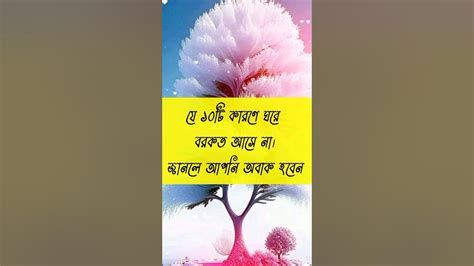 যে ১০টি কারণে ঘরে বরকত আসে না জানলে আপনি অবাক হবেন। ইসলামিক ভিডিও