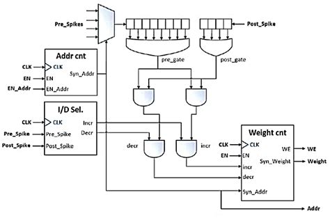 Block Diagram Of Stdp Module 22 Download Scientific Diagram