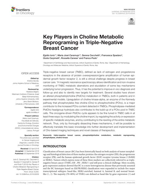 Pdf Key Players In Choline Metabolic Reprograming In Triple Negative