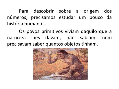 A Origem Dos Números