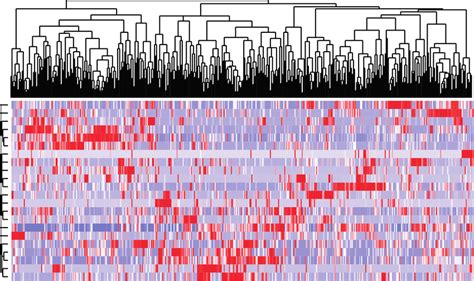 Unsupervised Clustering Of Inferred Immune Fraction Using Leukocyte