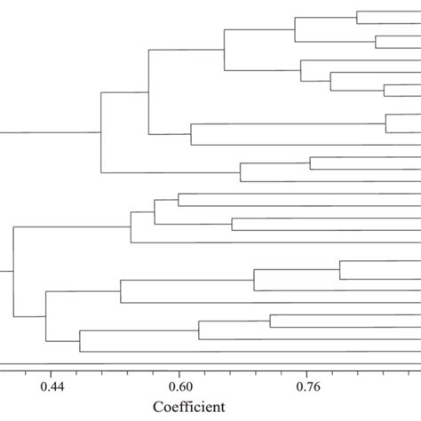 dendrogram generated from rapd markers obtained in different primers