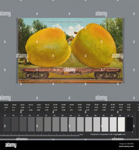 Train Wagon With Two Giant Apples Edward Henri Mitchell 1910 Exaggeration San Francisco