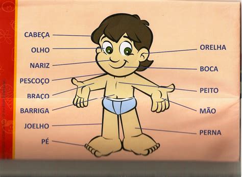 Partes Do Corpo Educação Infantil Braincp