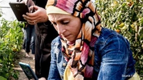 5 Keys For A Successful Sustainability Program Cosa Committee On