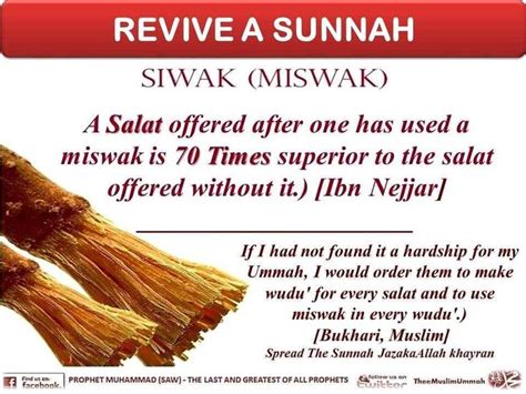 Benefits Of Miswak A Natural Toothbrush