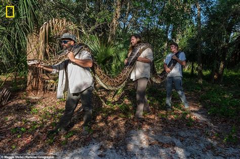 Burmese Python Weighing 215lbs And Measuring Nearly 18ft Long Found In