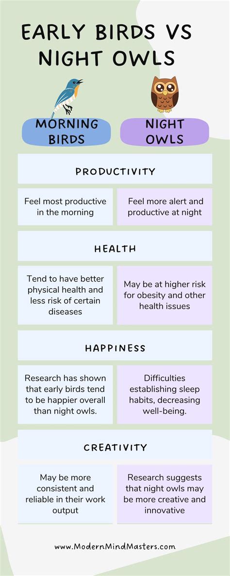The Differences Between Early Birds And Night Owls Infographical Poster