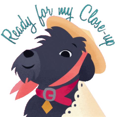 Sticker Maker Lady And The Tramp