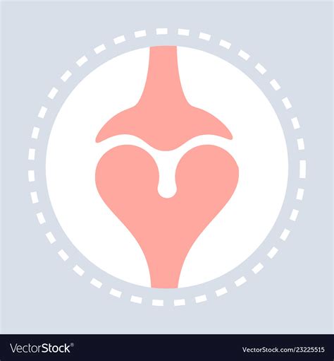 Knee Bone Body Joint Human Leg Icon Healthcare Vector Image
