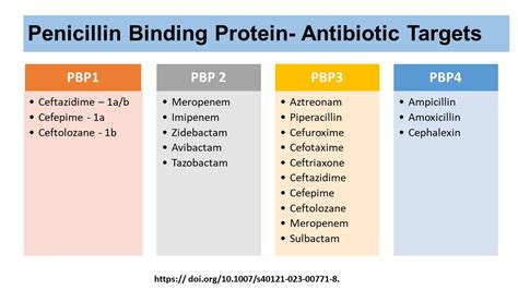 Penicillin Binding Protein