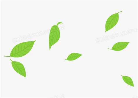Png Png