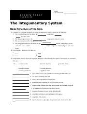 Comprehensive Study Guide On The Integumentary System Course Hero