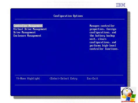 Ibm server raid manager Вэб шпаргалка для интернет предпринимателей